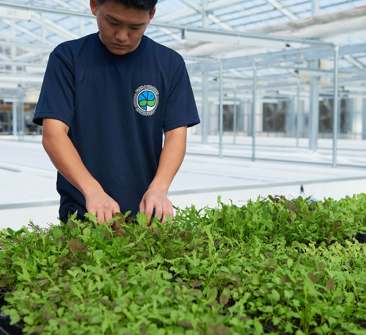 ON THE UMAMI TSUBAME SANJO PORT | 新潟・燕三条のカフェ＆ファクトリーショップ、おだし専門店オンザウマミ